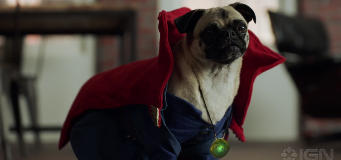 【翻訳あり】『ドクター・ストレンジ』と『アベンジャーズ』、公式で犬にされる | THE RIVER